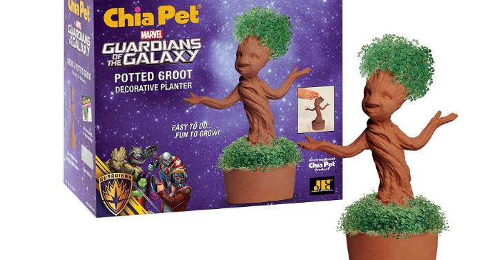 Chia Decorative Pottery Planter – Only $10.77! - Pinching Your Pennies