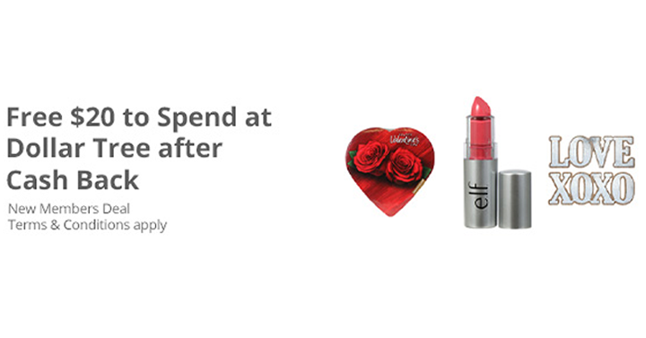 LAST DAY! Awesome Freebie! Get a FREE $20.00 to spend at Dollar Tree ...