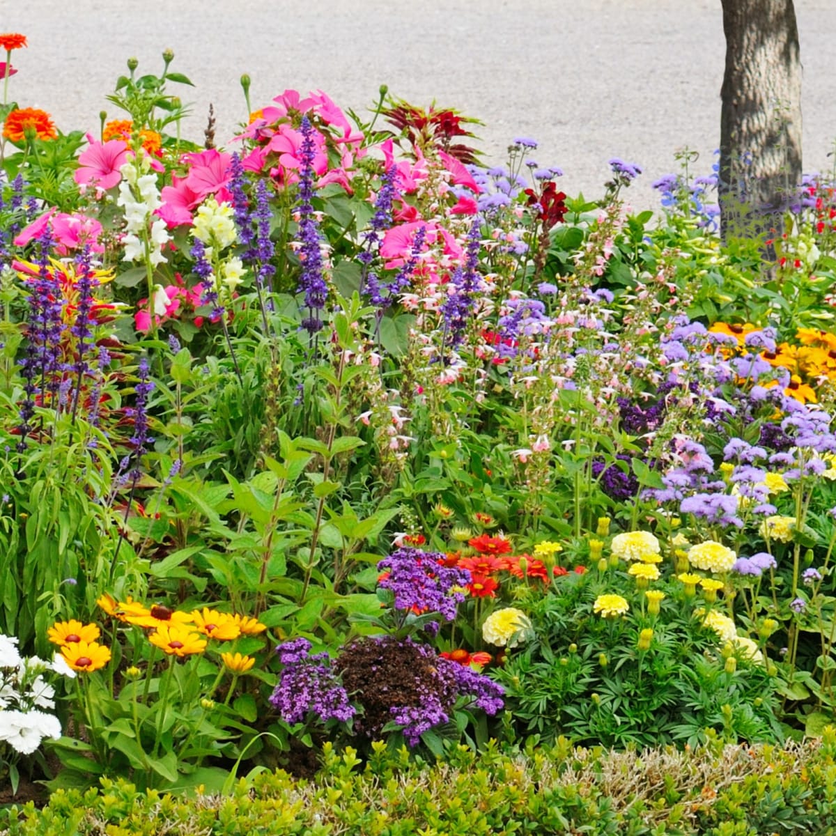 Pollinator’s Pre-Seeded Flower Garden Mat – Only $14.99! - Pinching ...