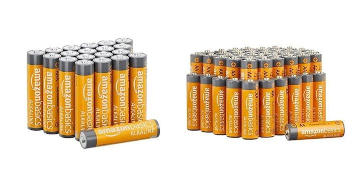 Amazon Basics 48 Pack AA High-Performance Alkaline Batteries & 20 Pack ... Amazon Basics 48 Pack AA High-Performance Alkaline Batteries & 20 Pack ...